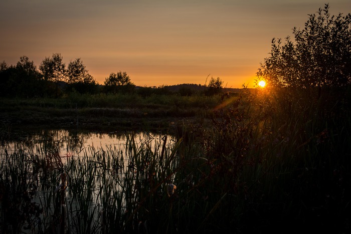 Kartanon Riistan luontokuvat