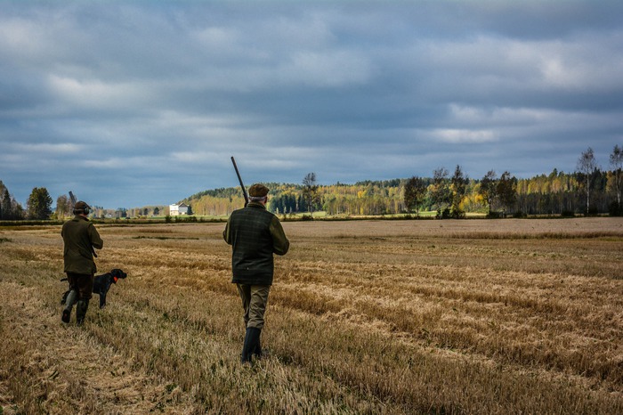 Partridge hunts :: Kartanon Riista