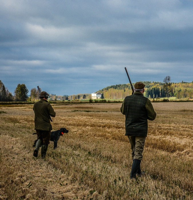 Peltopyyjahdit Kartanon Riistalla